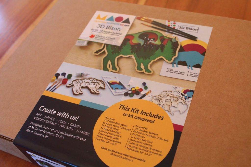 3D Bison Art Kit | Bison du Nord