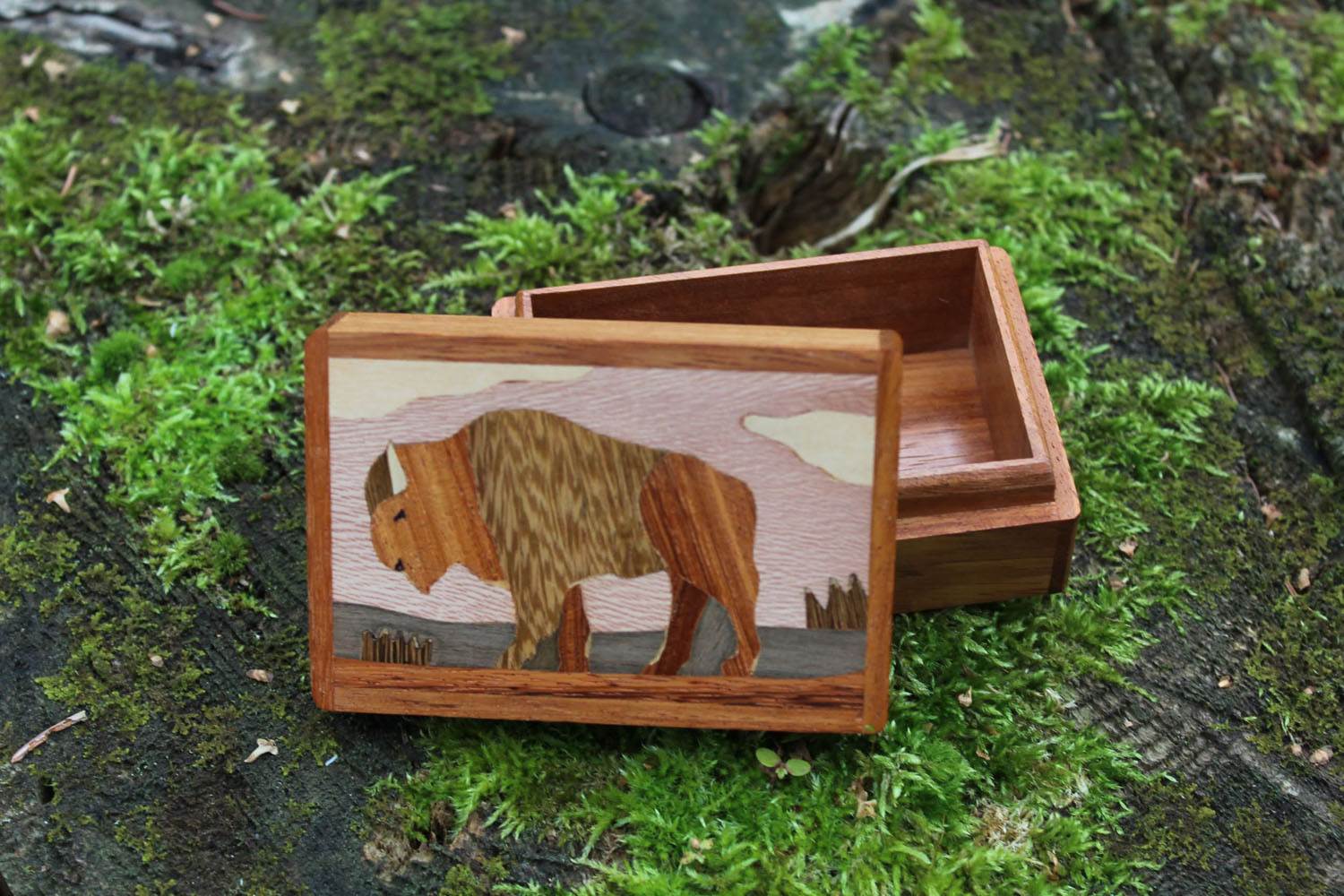 Wooden bison box medium - Gifts and souvenirs - Bison du Nord